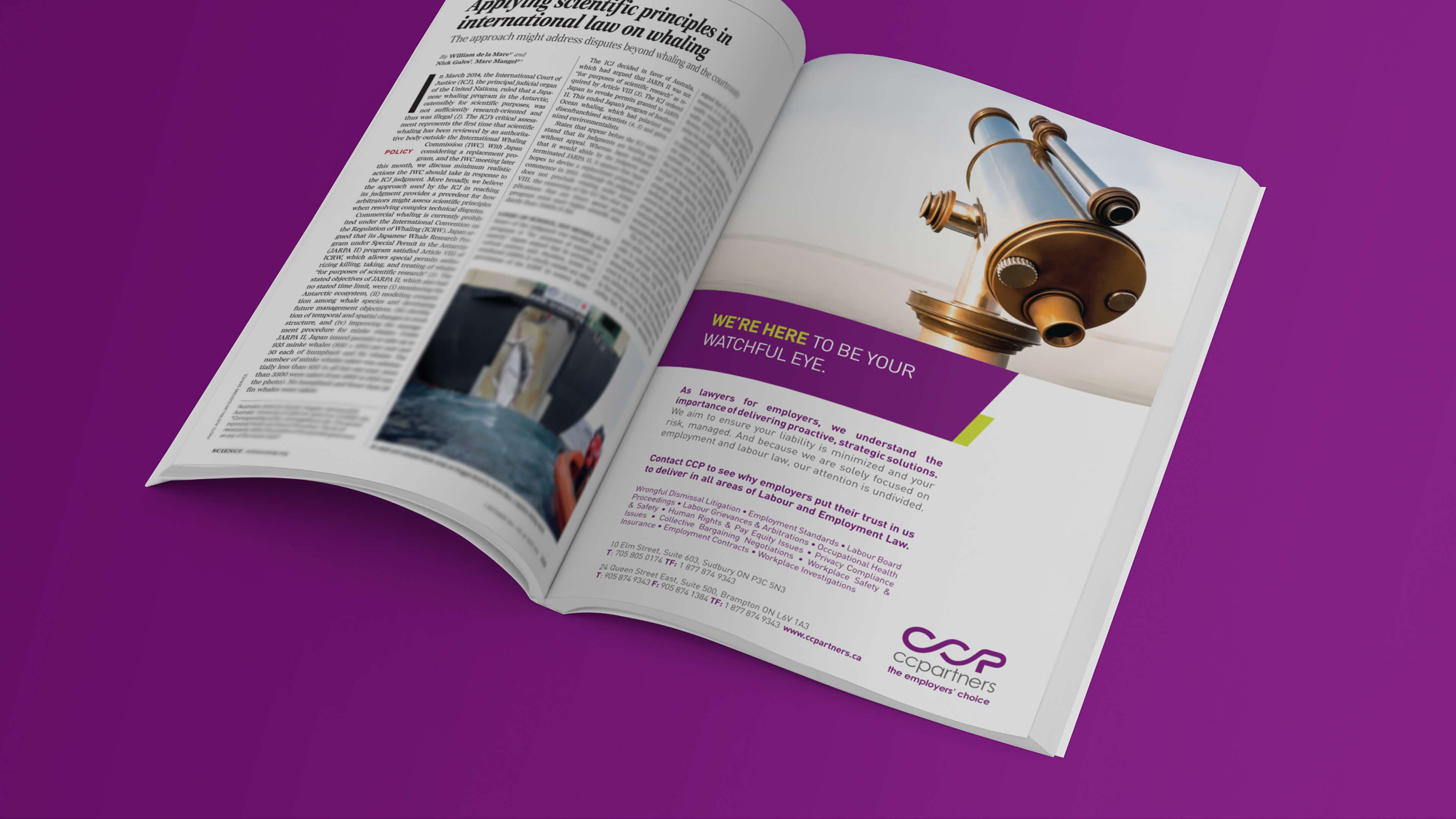 CCPartners LLP: Advertising