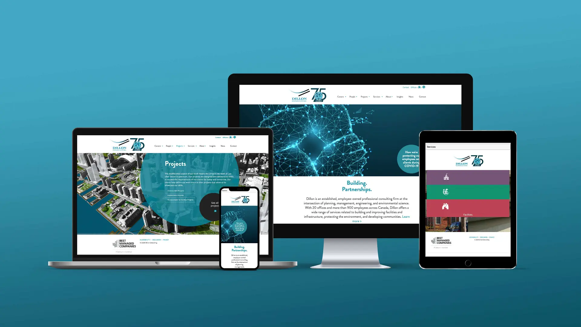 Dillon Consulting Limited: Website