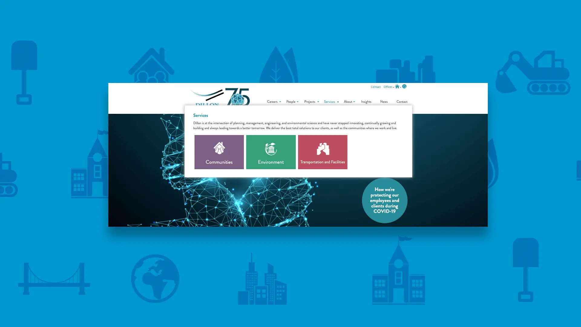 Dillon Consulting Limited: Website