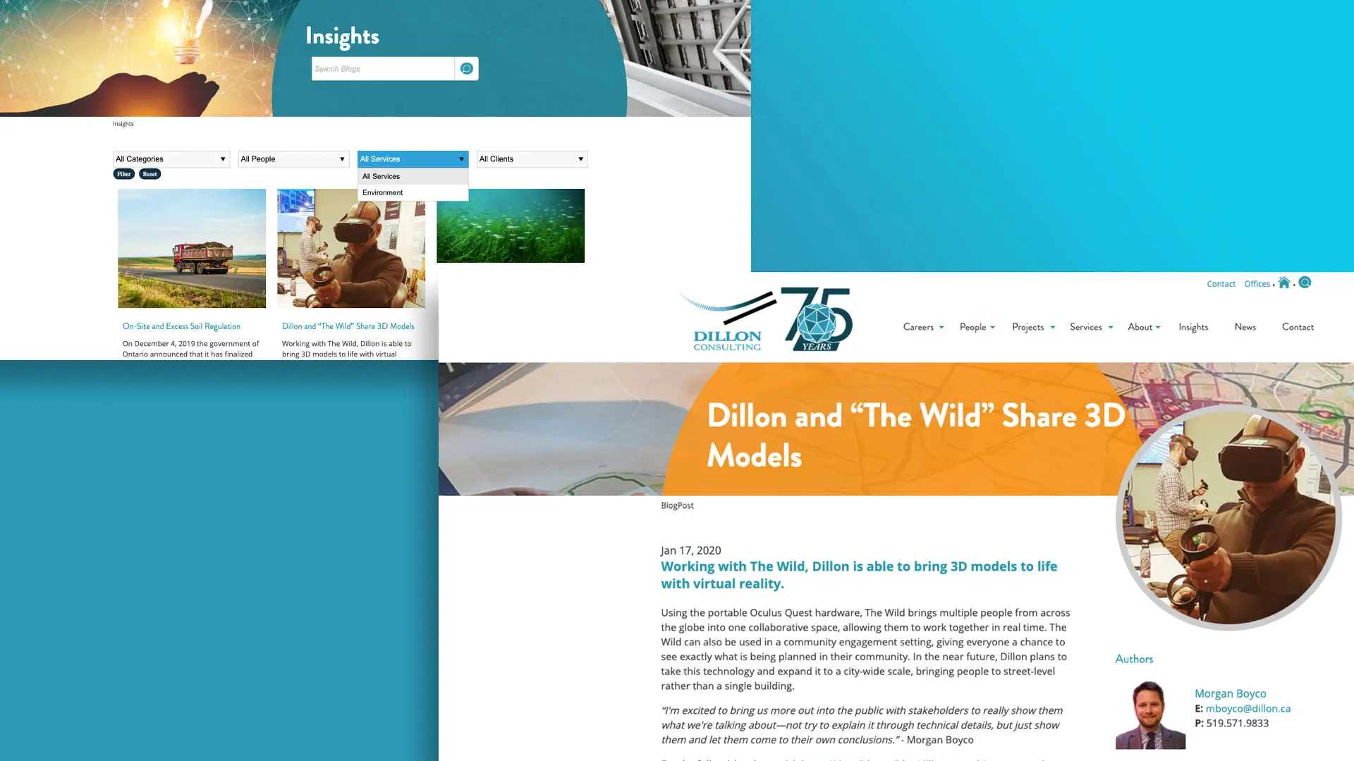 Dillon Consulting Limited: Website