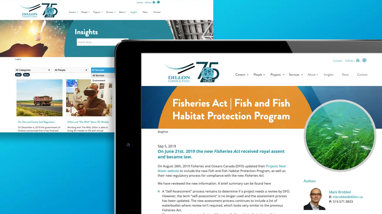 Dillon Consulting Limited: Website