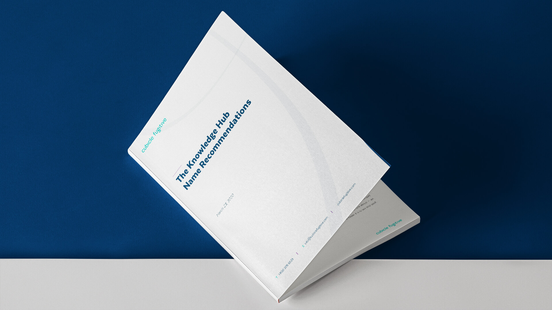 M&A Risk Advisor Brand Name and Positioning Strategy