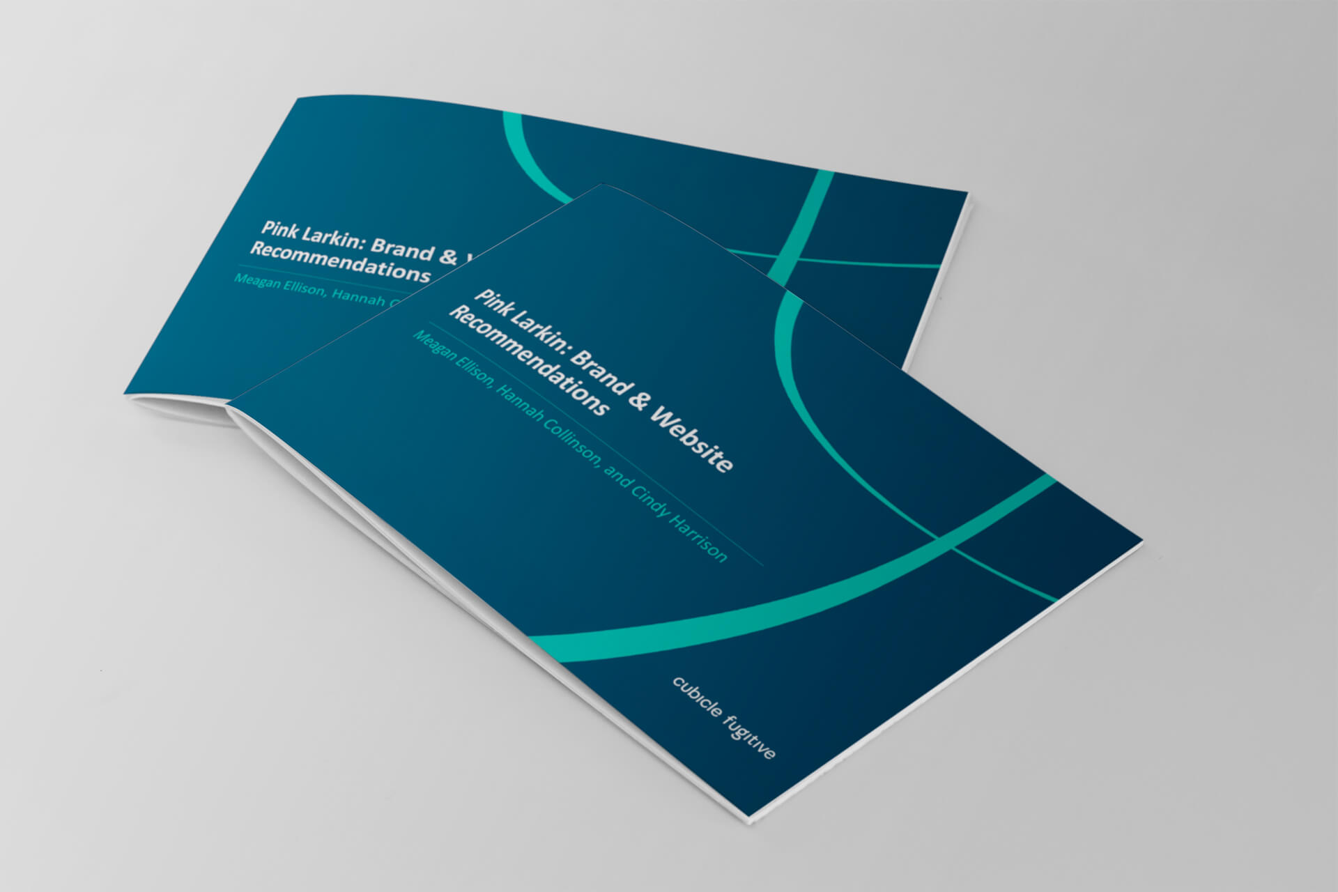 Cubicle Fugitive Develops Pink Larkin's Client Value Proposition