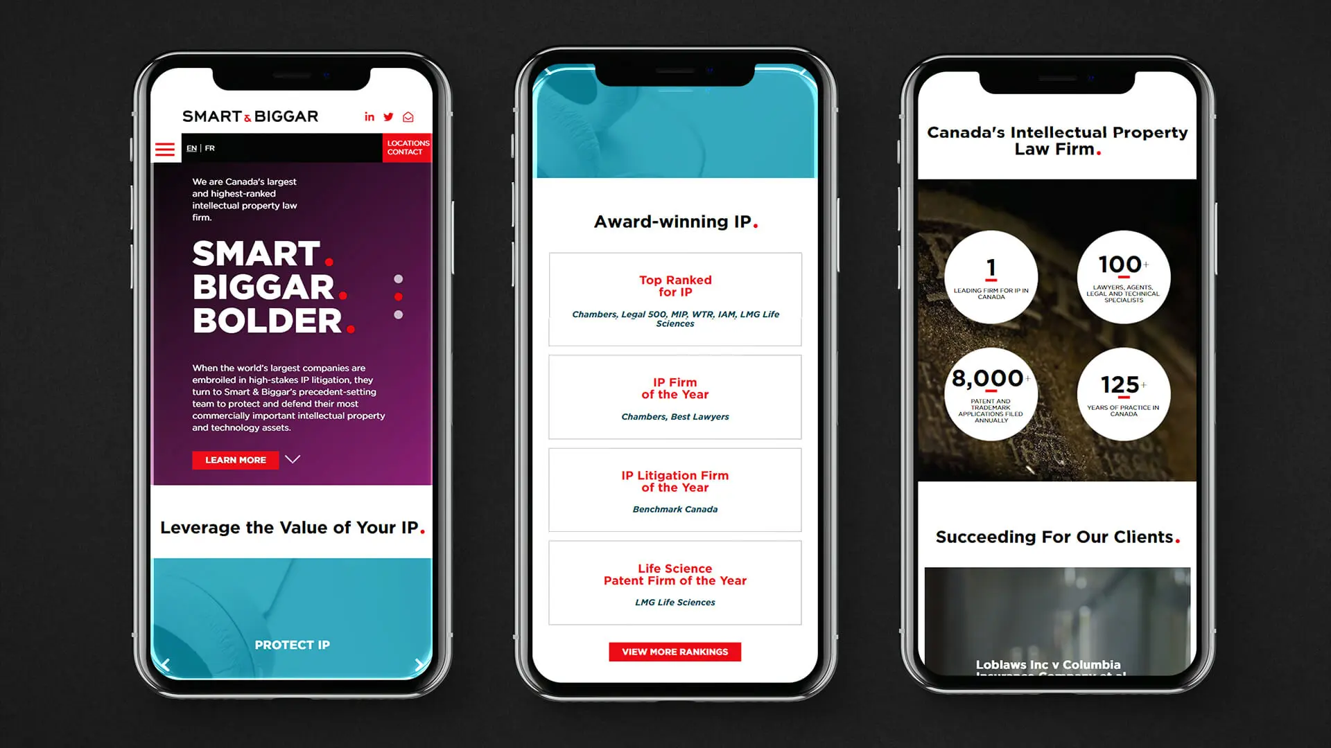 Smart and Biggar: Website