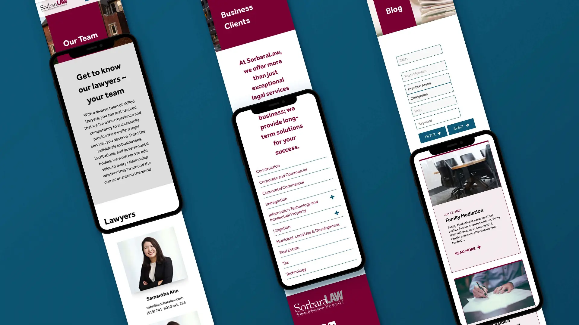 Sorbara Law: Website